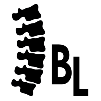 Praktisch – Manuele therapie & kinesitherapie Bert Lasat