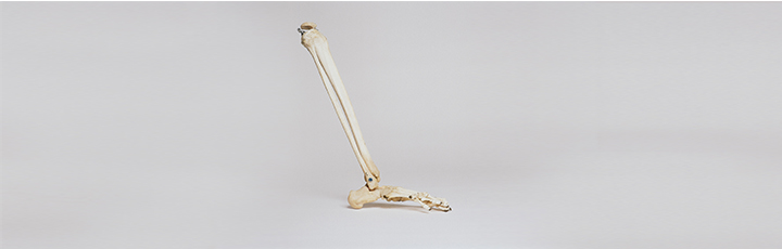 Behandeling – Manuele therapie & kinesitherapie Bert Lasat