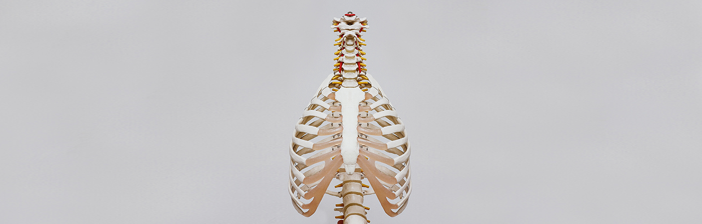 Manuele therapie & kinesitherapie Bert Lasat